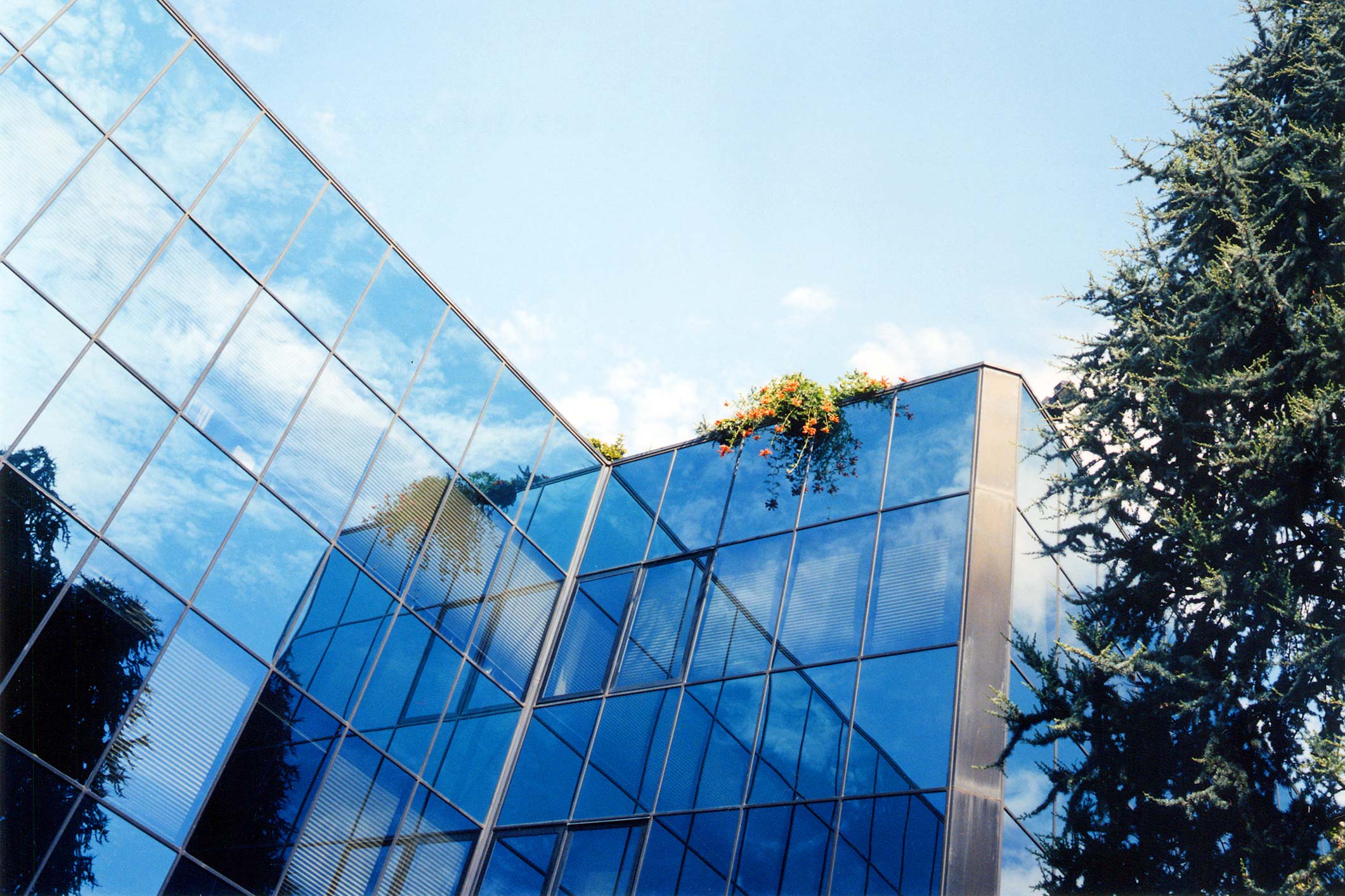 About Us - Rottapharm Biotech