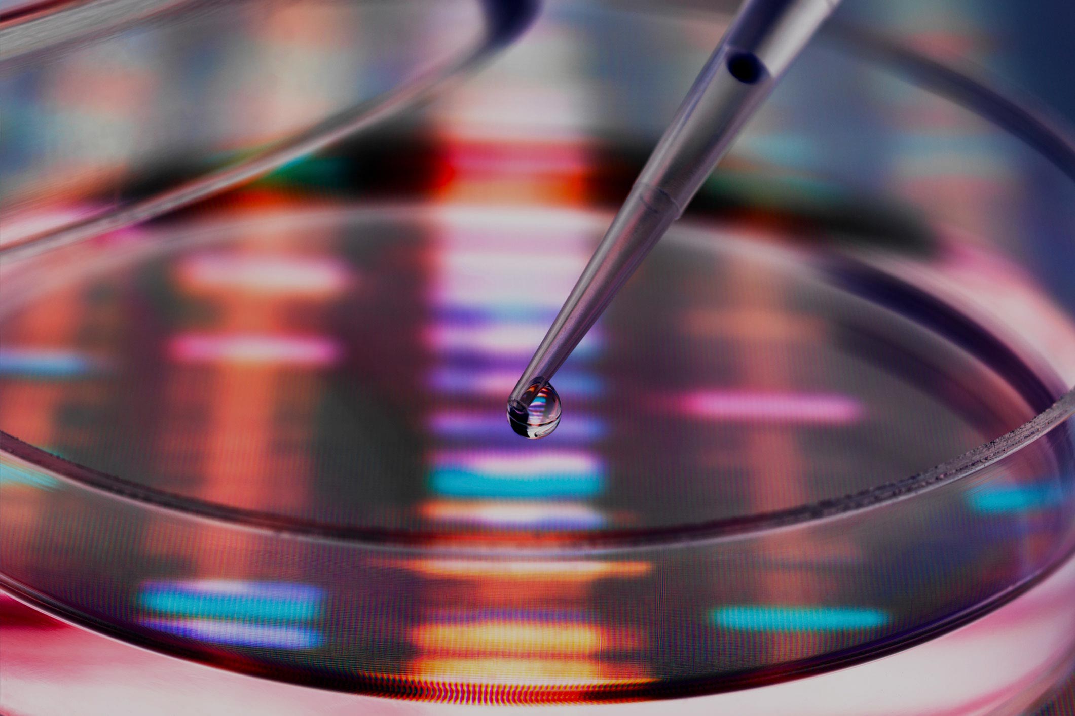 News - Rottapharm Biotech